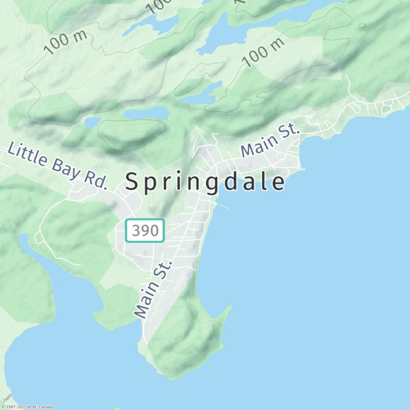 Springdale Tide Times and Weather - Tides Today