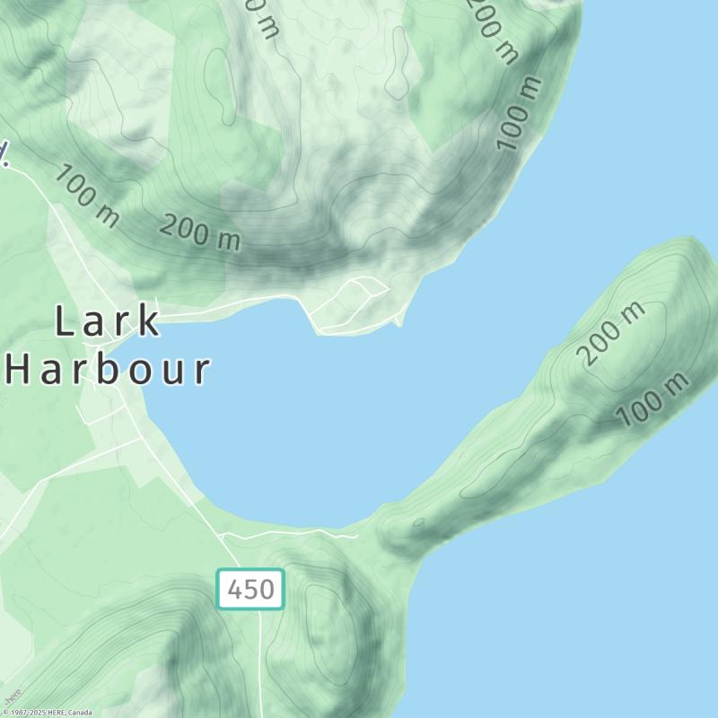 LARK HARBOUR Tide Times and Weather - Tides Today