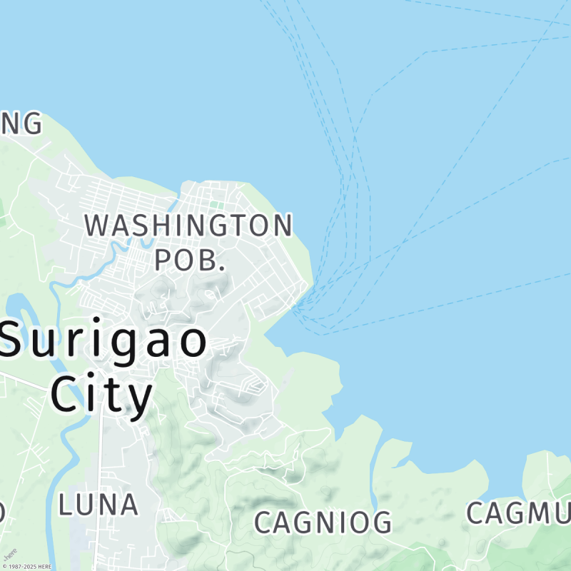 Surigao Tide Times and Weather - Tides Today