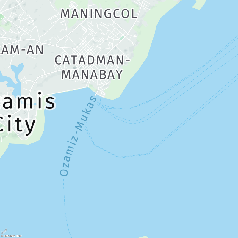 Ozamiz Tide Times and Weather - Tides Today