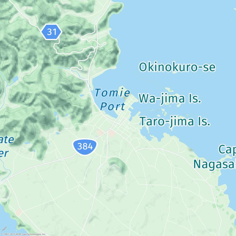 Tomie Tide Times and Weather - Tides Today