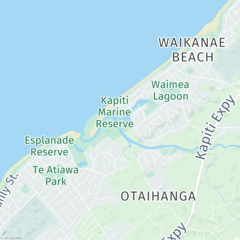 Waikanae River Entrance Tide Times and Weather - Tides Today