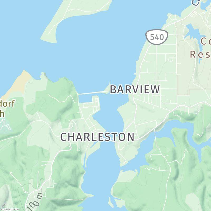 Charleston Tide Times and Weather - Tides Today