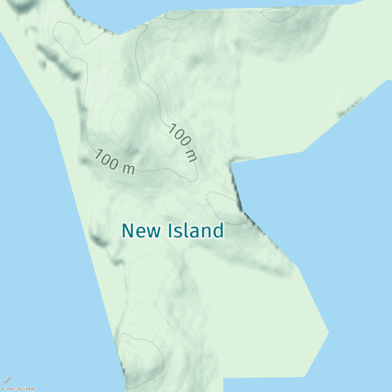 New Island Tide Times and Weather - Tides Today