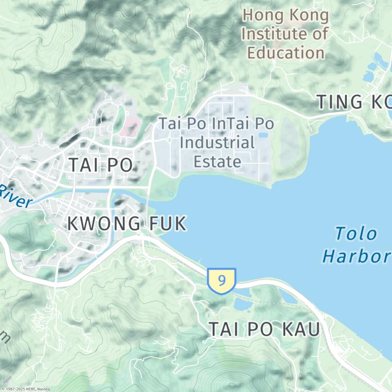 Tai Po Kau Tide Times and Weather - Tides Today